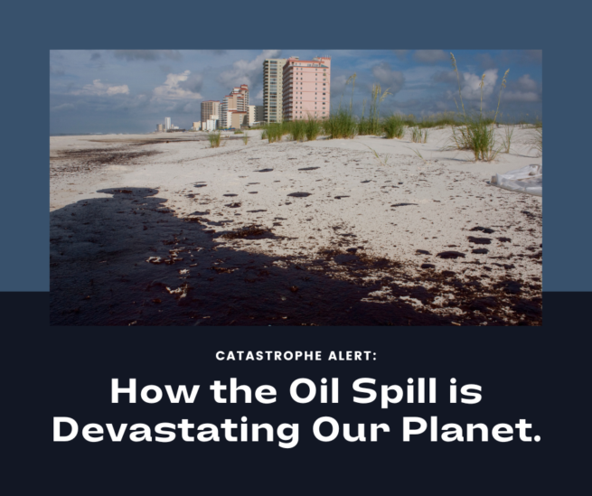 Oil Spill Catastrophe: How It’s Impacting Our Planet - Hydron Corporation